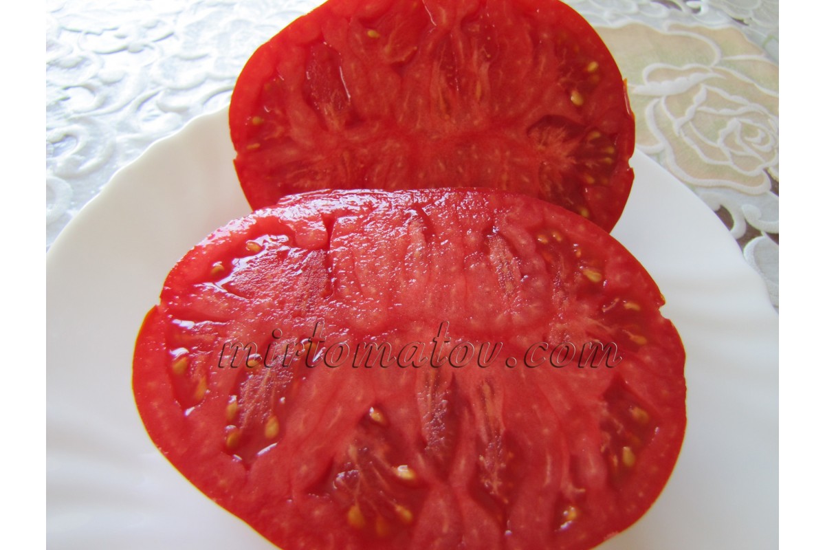 Diva de Deva (Діва де Діва)