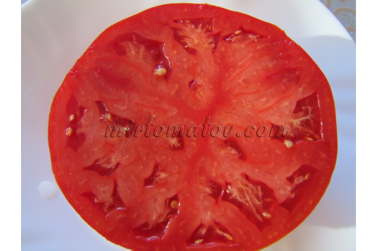 Cherven Gradinski (Червен Градінскі)