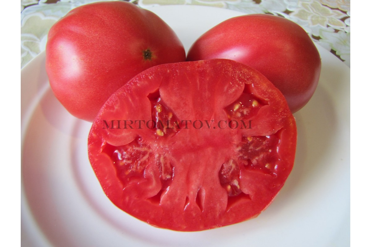 Полуничний (Fragolone)