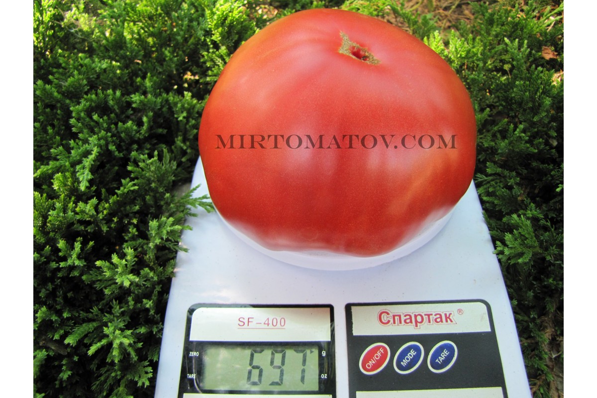 Rosii Mari De Suceava